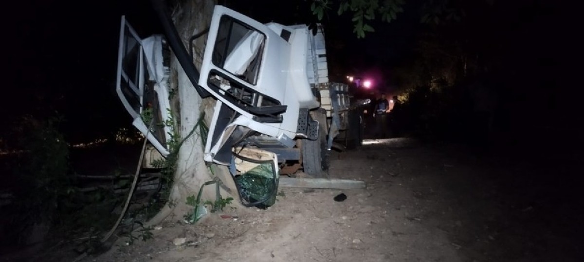 Motorista de caminhão morre após bater de frente em árvore em MT Mato