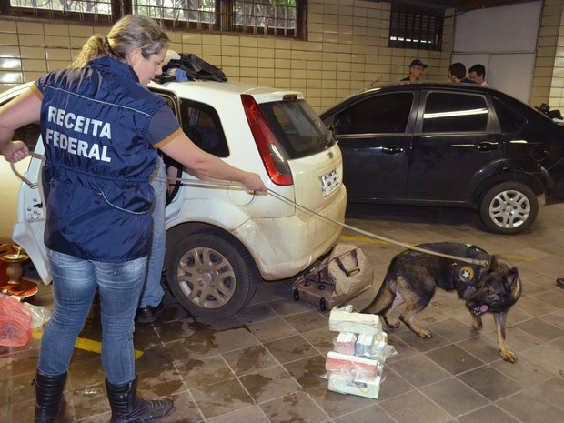 G1 Cães Farejadores Localizam 20 Kg De Cocaína Em Veículos Na Br 386