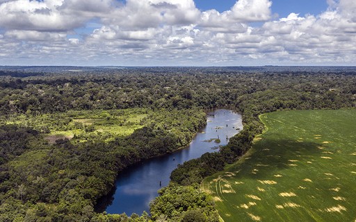 Embrapa lança plataforma gratuita dados sobre a aquicultura no