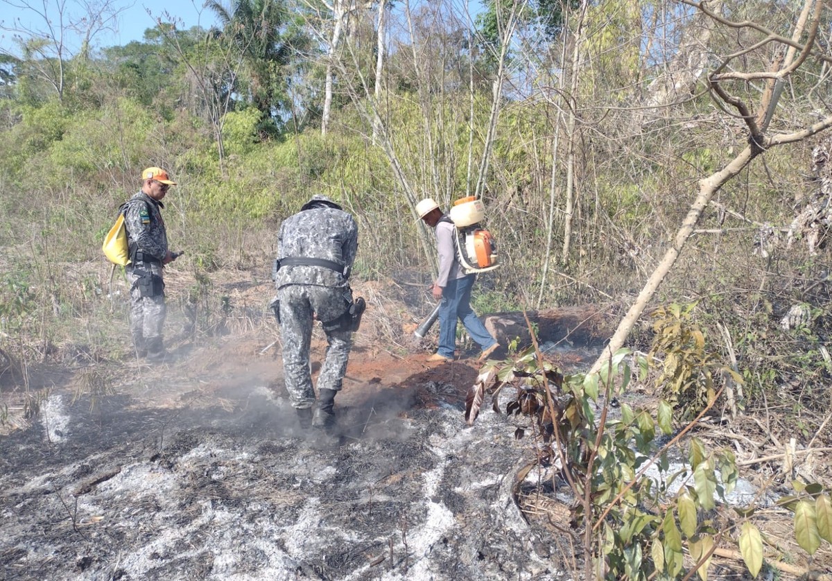 Área de pesquisa da Embrapa tem novo foco de incêndio e Corpo de Bombeiros é acionado Acre G