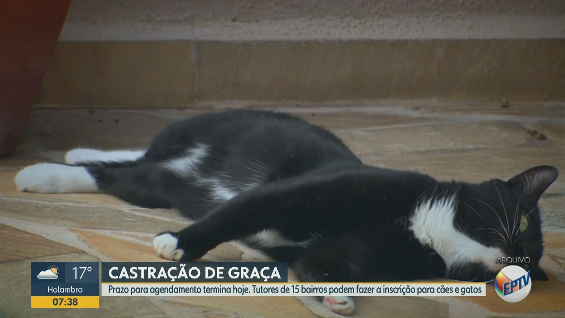 VÍDEOS Bom Dia Cidade Campinas desta quarta feira 13 de julho de 2022