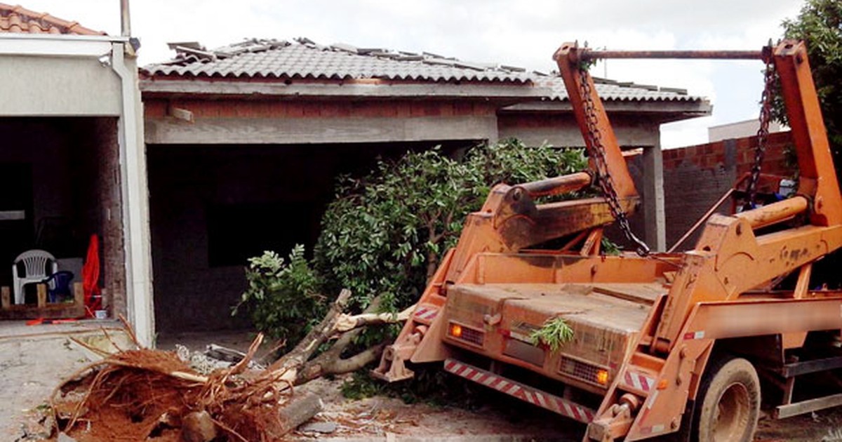 G1 - Caminhão desce rua, arranca duas árvores e bate em muro de residência - notícias em ...