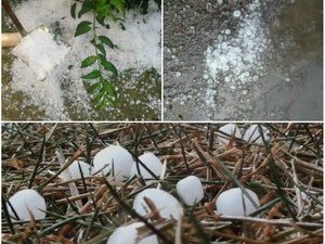 G Chuva de granizo atinge São Carlos e e umidade do ar aumenta notícias em São Carlos e