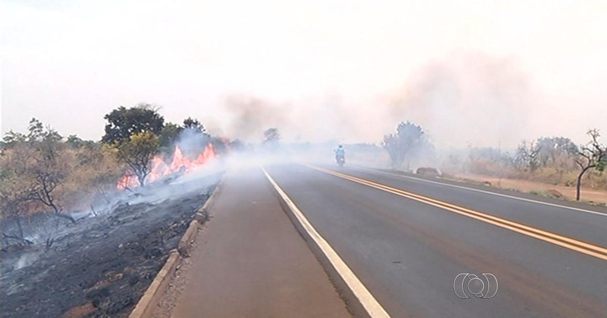 G1 Queimada Em Pasto Gera Risco De Explosão A Usina De álcool Em Go