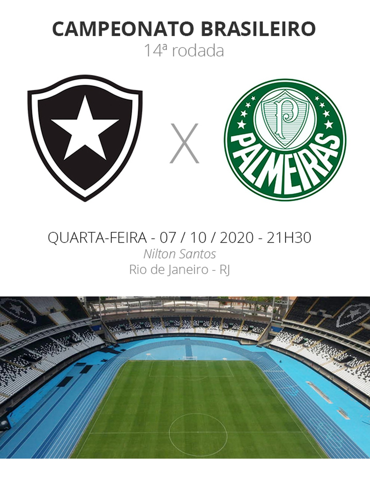 Botafogo x Palmeiras veja onde assistir escalações desfalques e