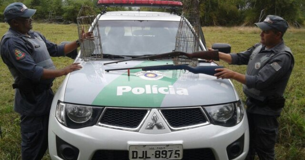 G1 Mulher é Detida Por Porte Ilegal De Armas Em Pindamonhangaba Sp