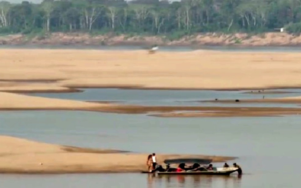 Ação humana contribuiu para seca sem precedentes na Amazônia diz estudo Natureza G