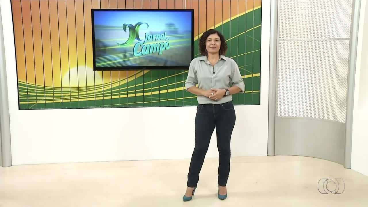VÍDEOS Jornal do Campo TO de domingo 25 de novembro Tocantins G1