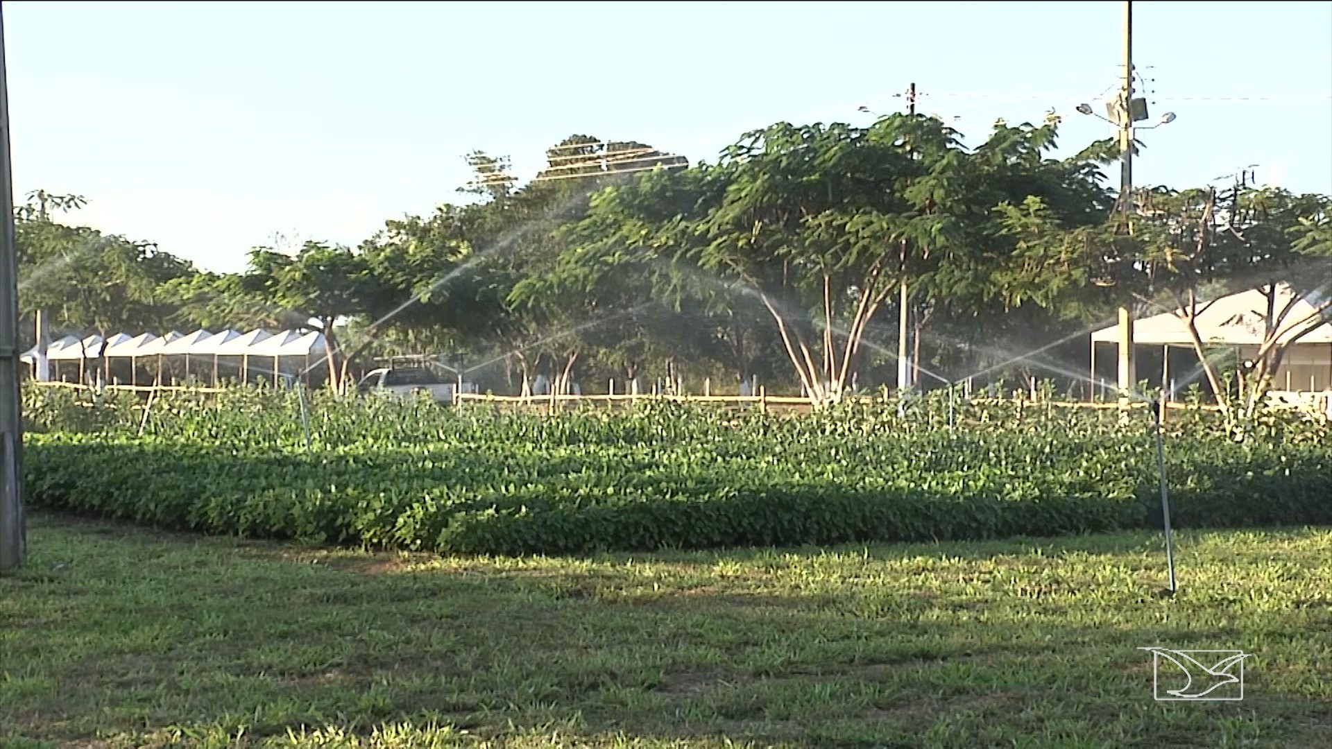 VÍDEOS JMTV 2ª Edição de sábado 12 de maio Maranhão G1