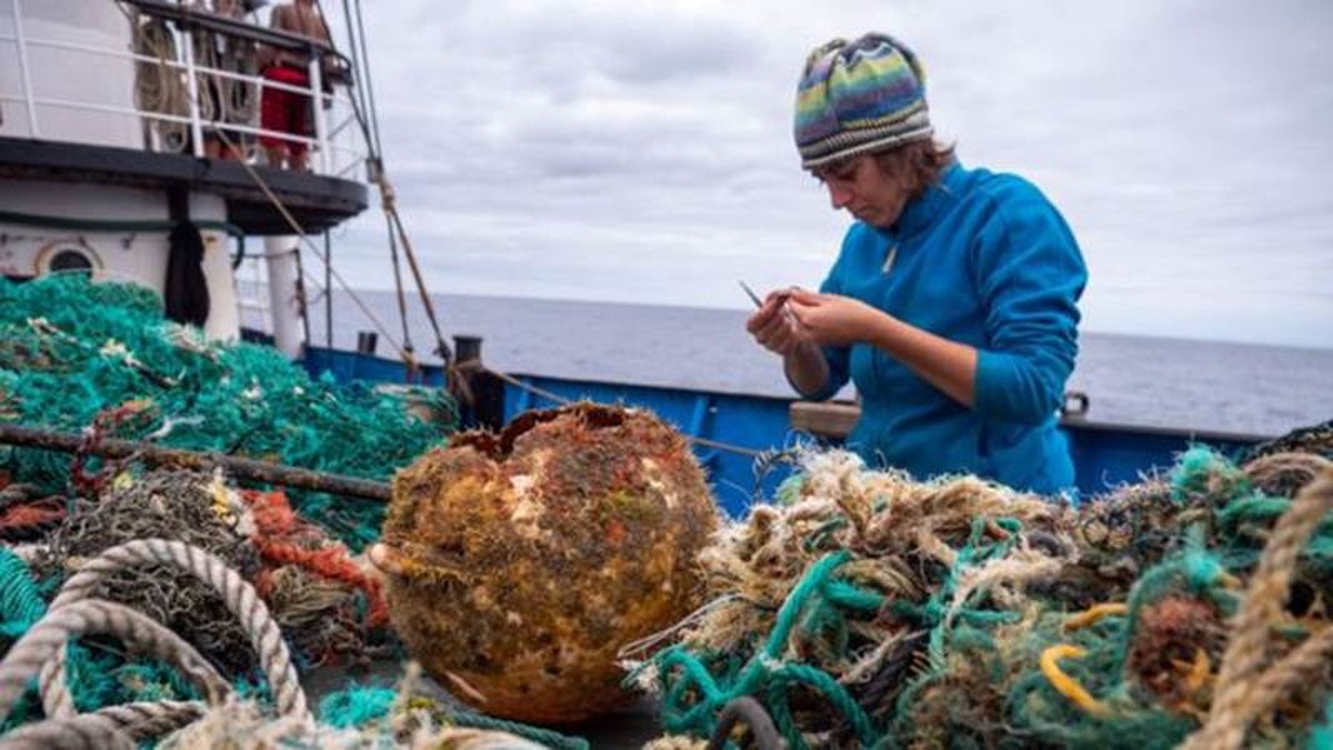 Mancha gigante de plástico no oceano cria novo habitat para animais