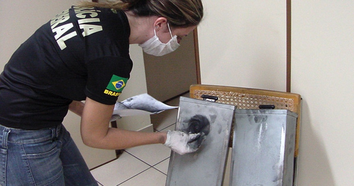 G1 Aprovados Em Concursos Da Pf Dão Dicas De Como Passar Nas Provas