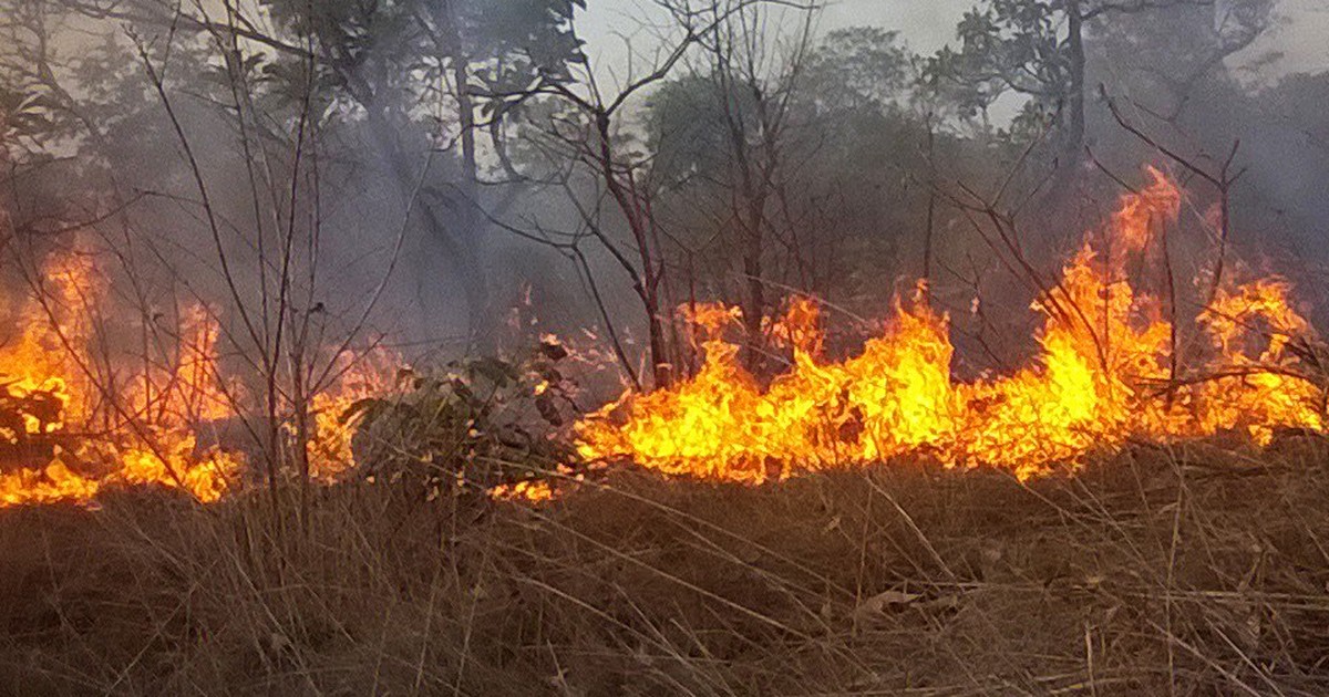 G1 Pará Lidera Ocorrências De Queimadas No Brasil Notícias Em Pará
