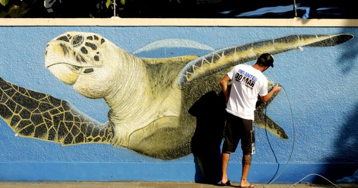 G1 - Artista Erick Wilson pinta animais marinhos em muros na Grande Natal - notícias em Rio ...