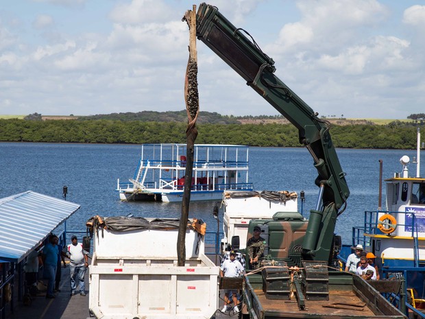 G1 Começa Trabalho De Retirada De Estacas Na Praia Do Jacaré Na