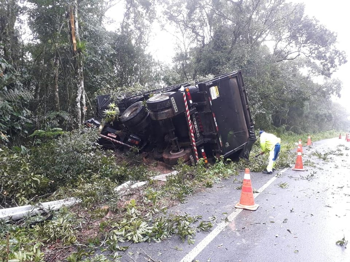 Caminhão fica destruído após bater em árvore e tombar no interior de SP