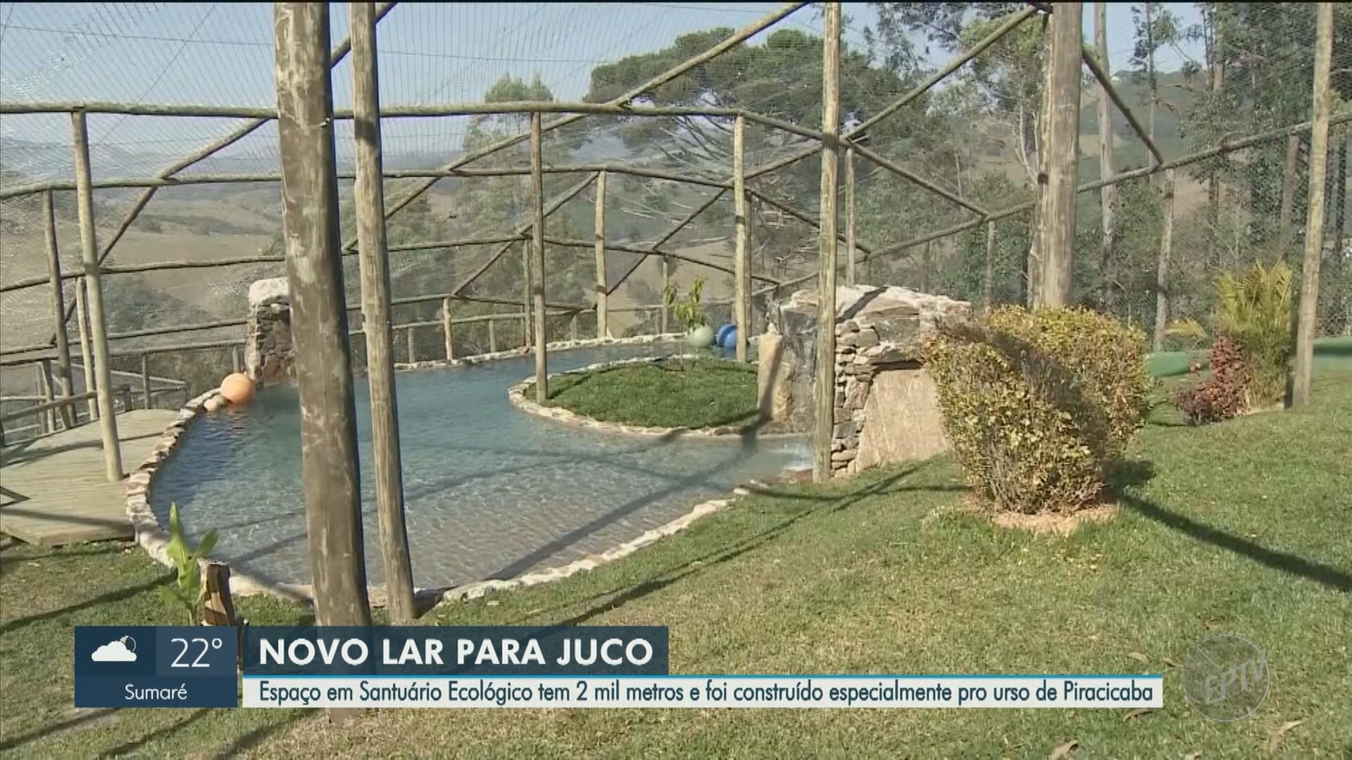 VÍDEOS EPTV 2 Campinas desta sexta feira 13 de maio de 2022