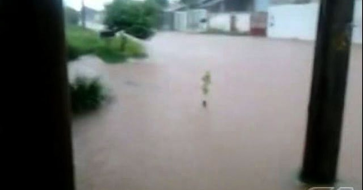 G Chuva alaga ruas e casas em bairro de Campo Grande diz internauta notícias em VC no G MS