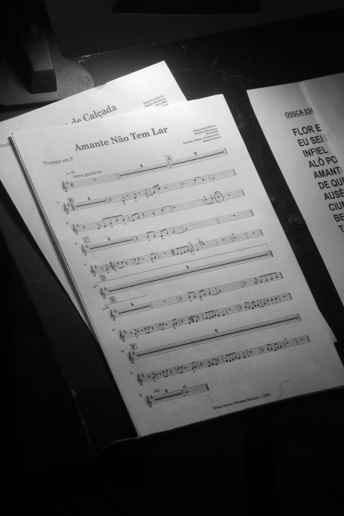 Orquestra Sinfônica de SC vai homenagear Marília Mendonça na data que