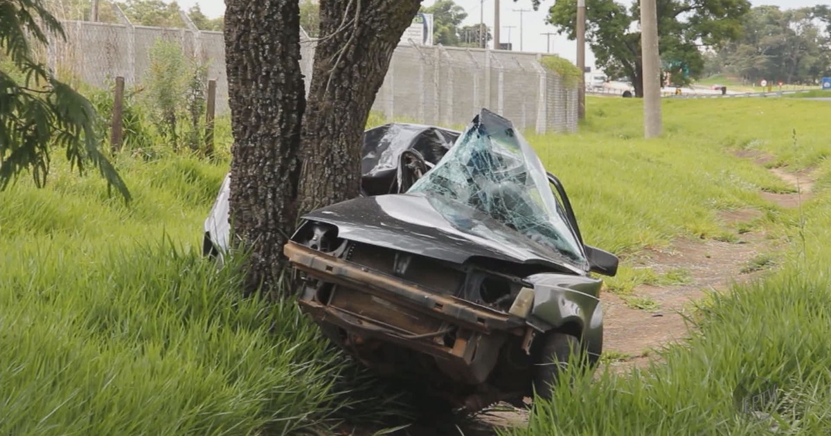 G1 - Motorista morre após carro bater em árvore na SP-215 em São Carlos, SP - notícias em São ...
