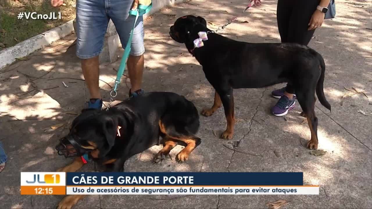 VÍDEOS Jornal Liberal 1ª Edição de quinta feira 28 de setembro de