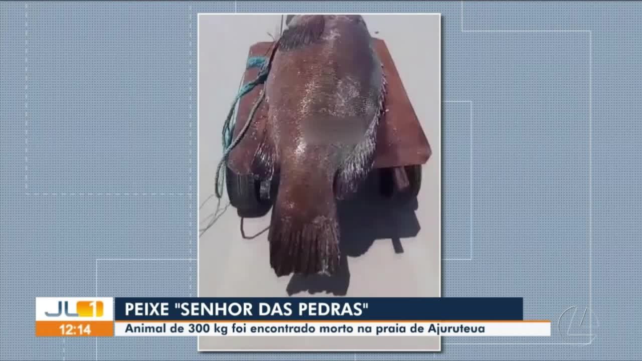 VÍDEOS Jornal Liberal 1ª Edição de sexta feira 24 de novembro de 2023