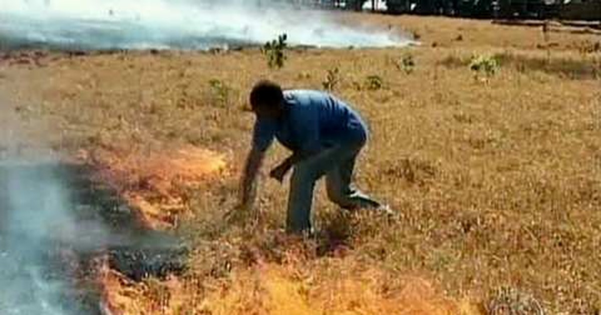 G1 Queimadas consomem plantações e reservas florestais no Triângulo