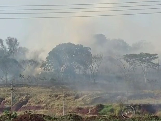 G1 Incêndio Destrói área Verde De 35 Mil Metros Quadrados Em Jaú
