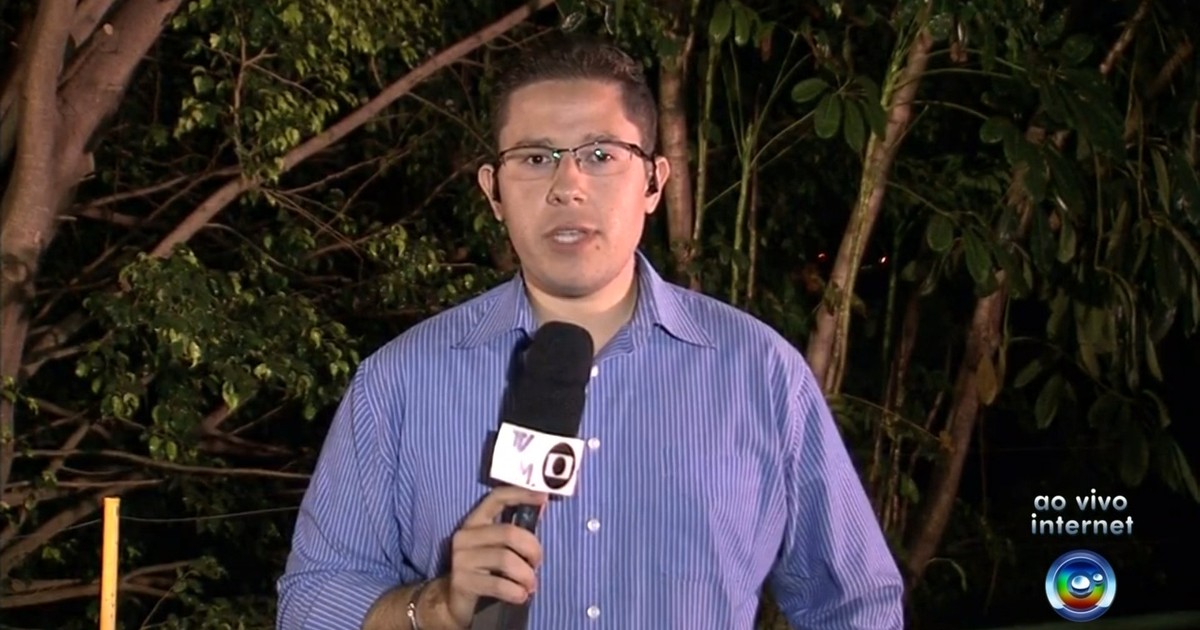 G1 - Idosa morre após ser atacada por abelhas africanas em Angatuba ...