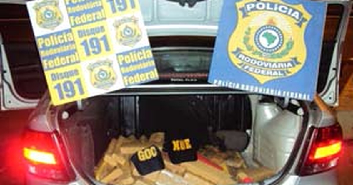 G1 Cães Farejadores Ajudam Polícia A Encontrar 48 Kg De Maconha Em Ms