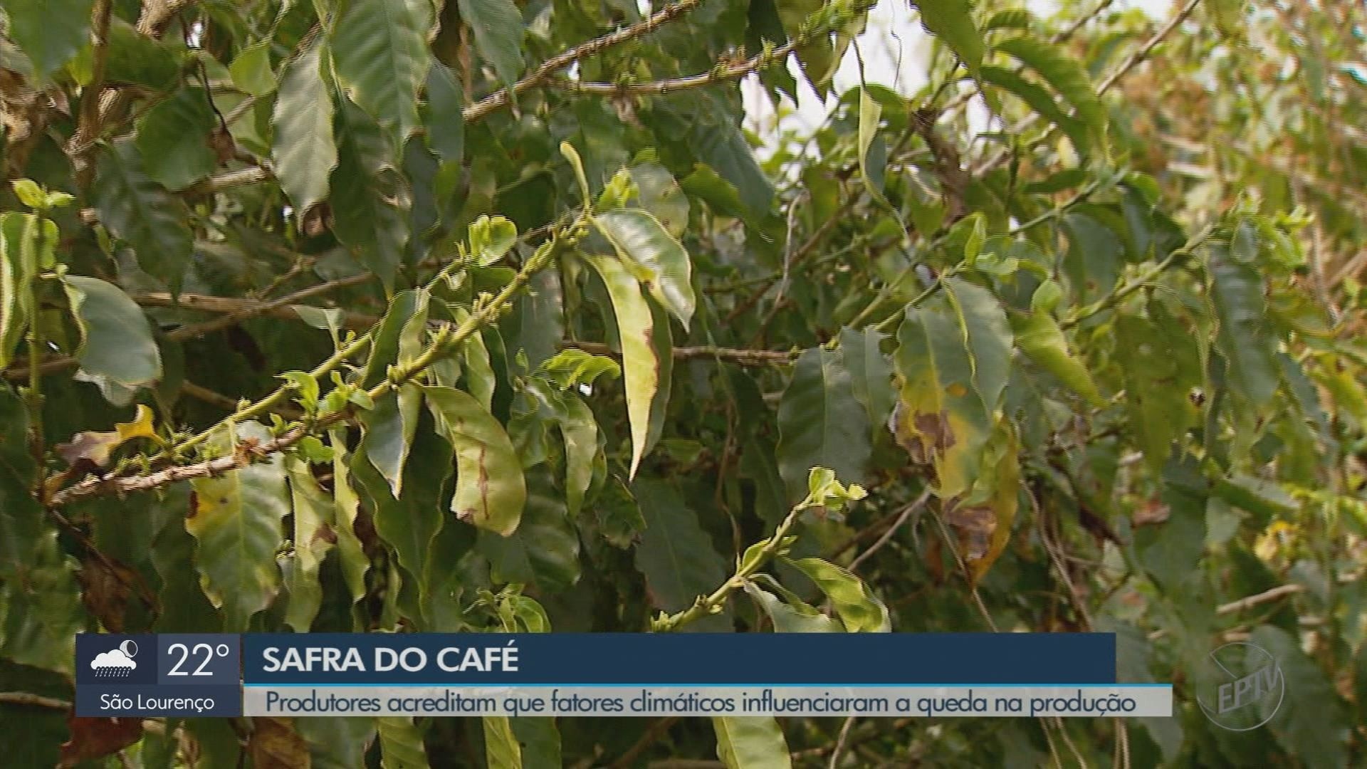 VÍDEOS: EPTV 2 Sul de Minas de terça-feira, 13 de setembro | Sul de ...