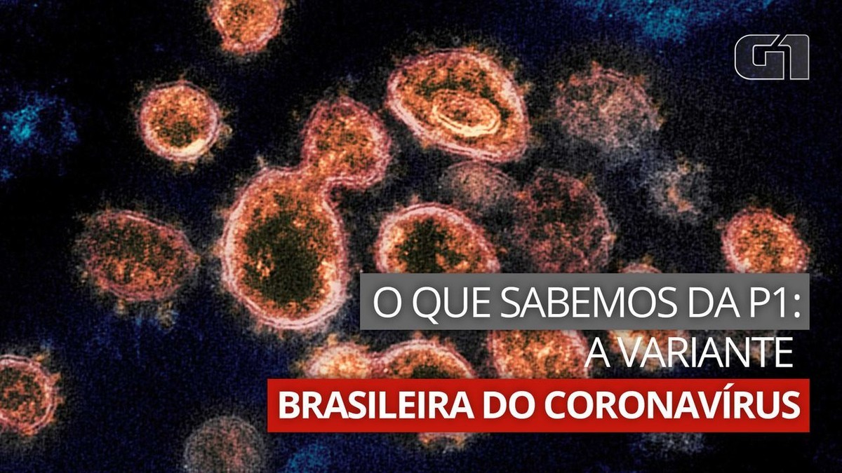 Unicamp trabalha em teste para facilitar identificação das novas variantes da Covid