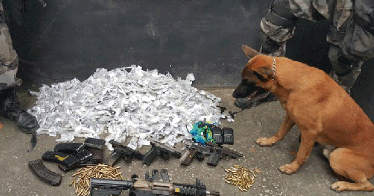 G1 Pm Apreende Fuzil Pistolas E Drogas Durante Operação No São