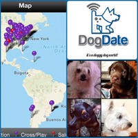 Aplicativo brasileiro 'DogDate' funciona como 'Tinder para cachorros' | G1 - Tecnologia e Games ...