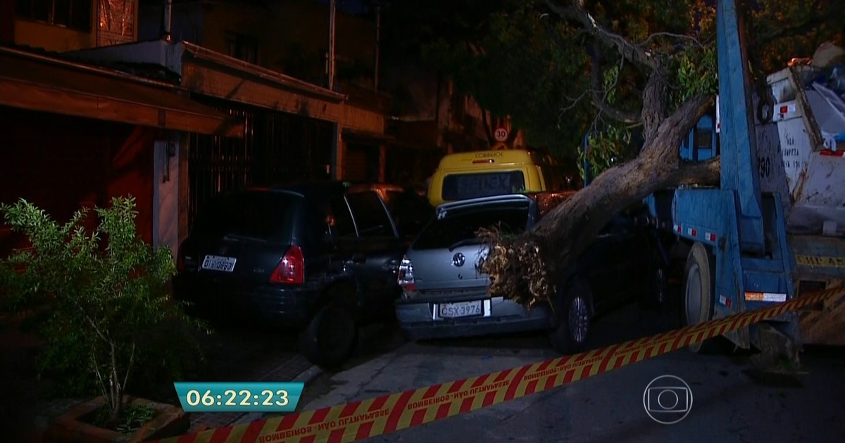 G1 - Caminhão arranca árvore e bate em vários carros na Zona Leste de SP - notícias em São Paulo