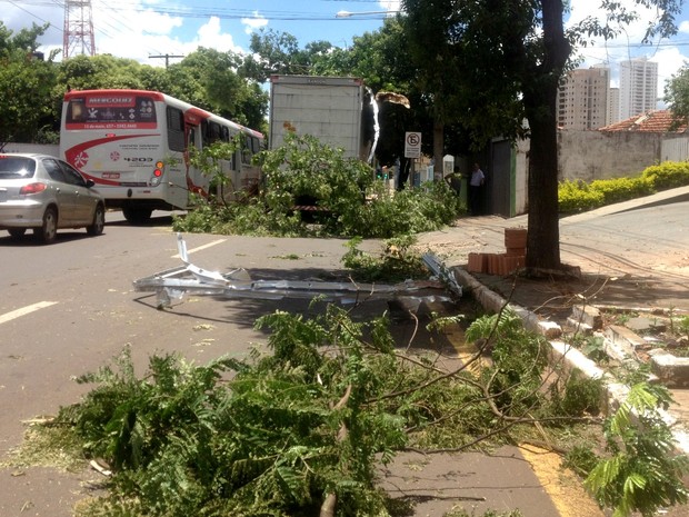 G1 - Caminhão arranca galhos de árvores e deixa trânsito lento em rua de MS - notícias em Mato ...