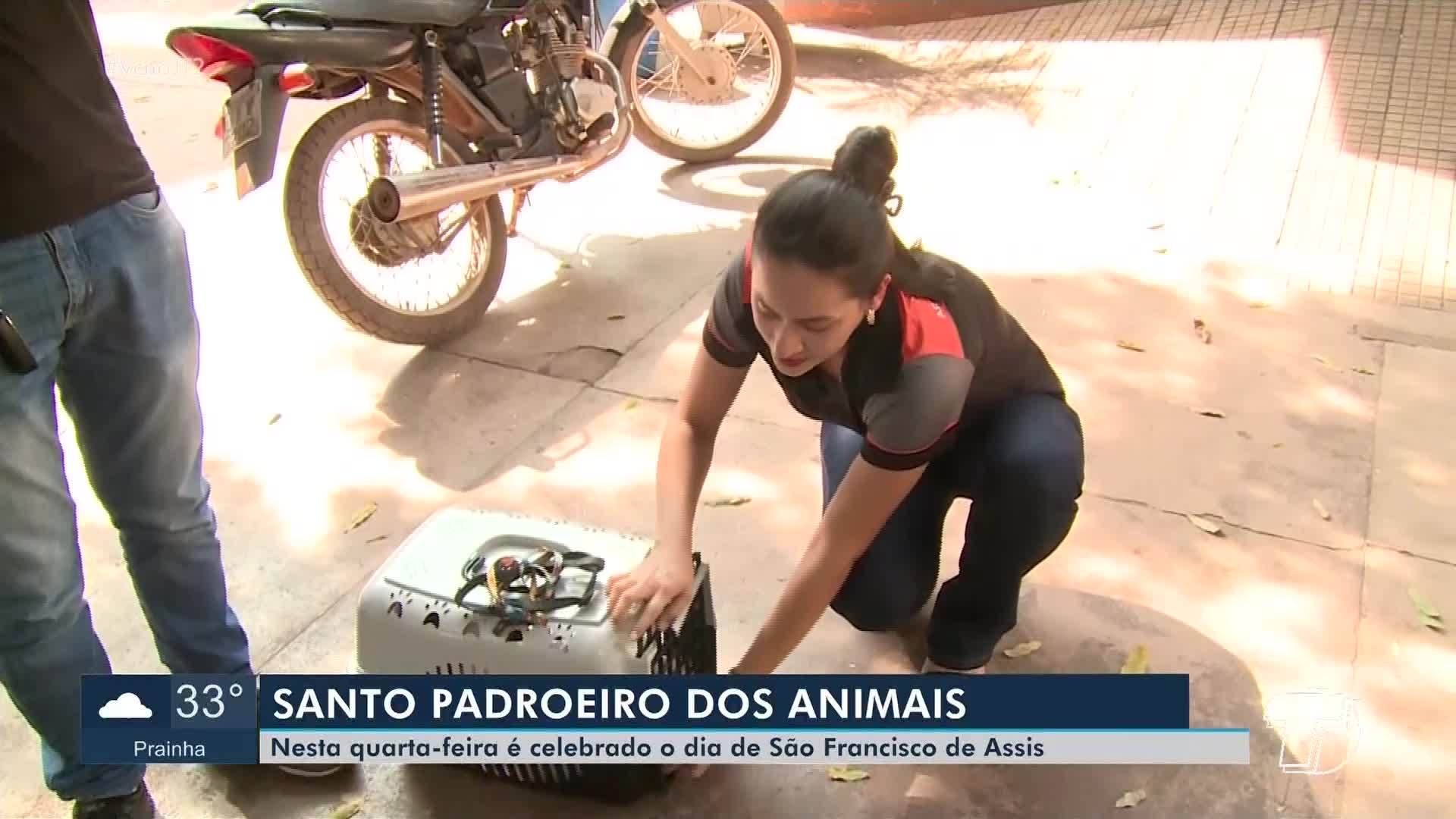 VÍDEOS Jornal Tapajós 2ª Edição de quarta feira 4 de outubro de 2023