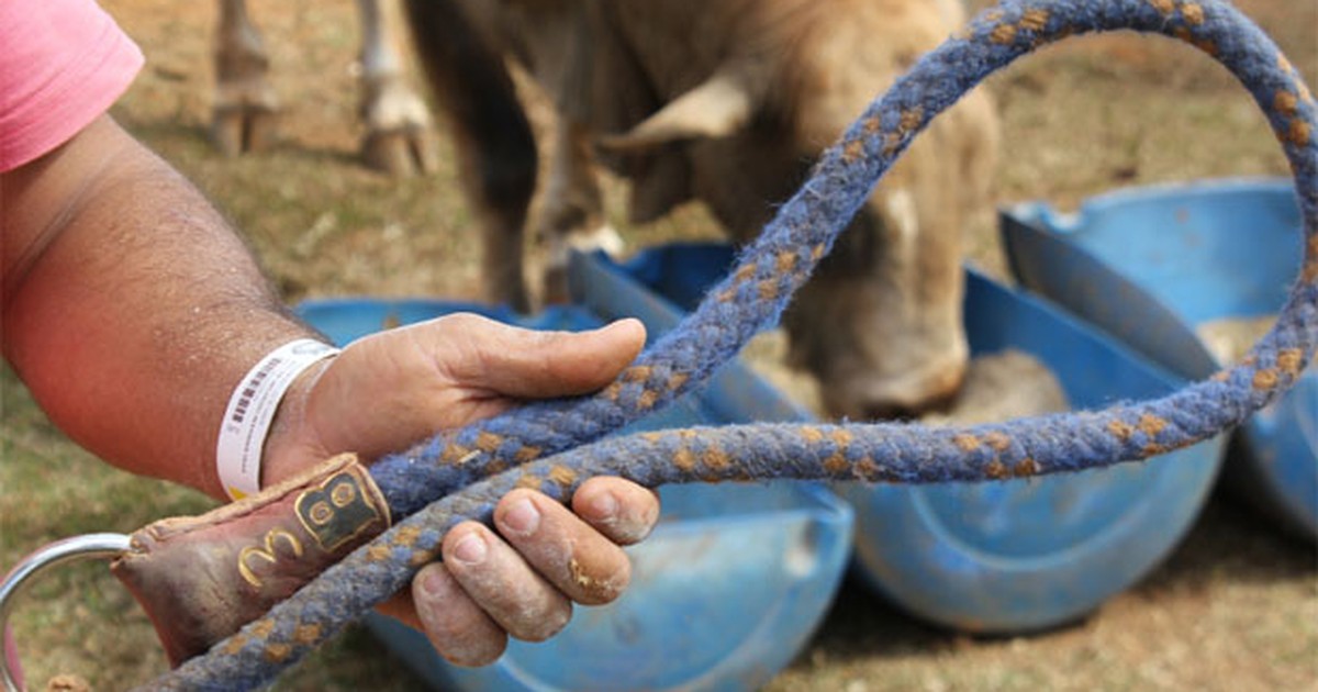 G1 - Ministério Público alega maus-tratos e pede suspensão de rodeio em ...