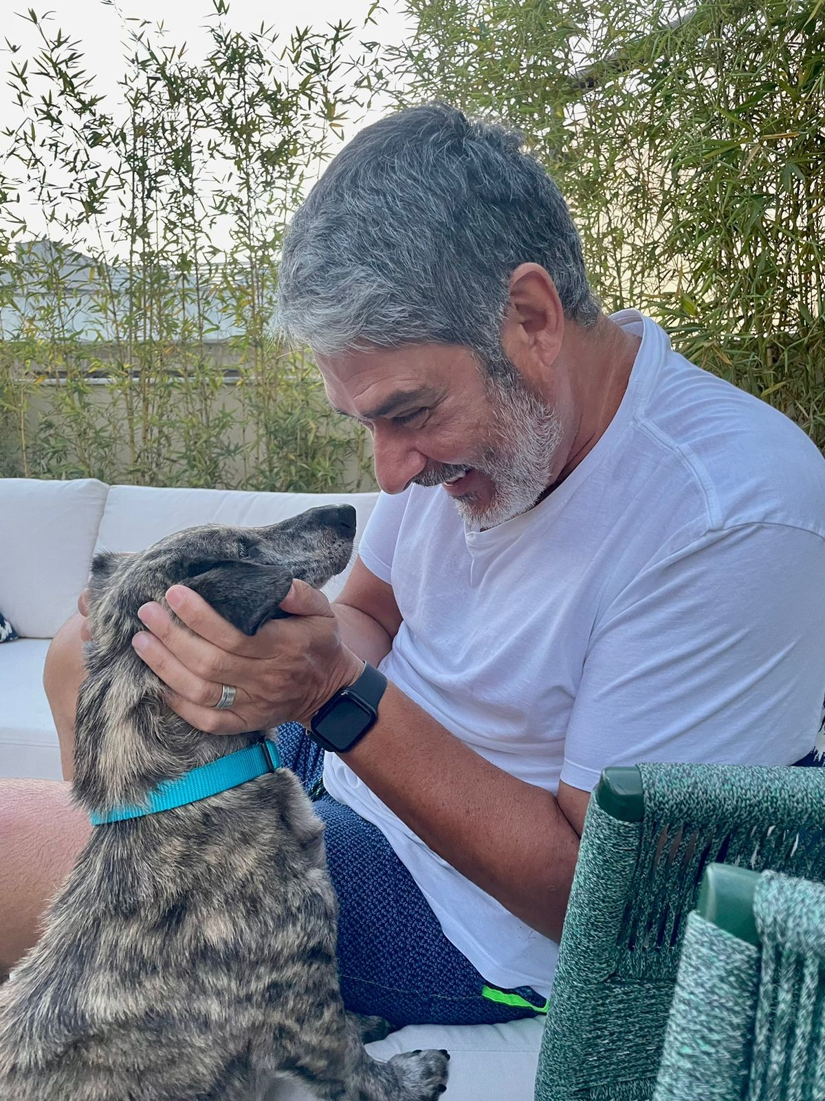 William Bonner fala sobre resgate de cachorro: 'Quando você adota um ...