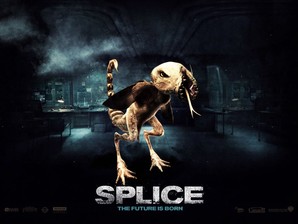Splice Creature Creator | Download | TechTudo
