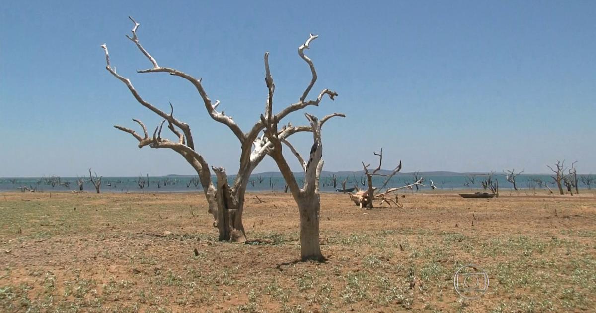 Jornal Nacional - Seca deixa quase mil cidades do Nordeste em situação ...