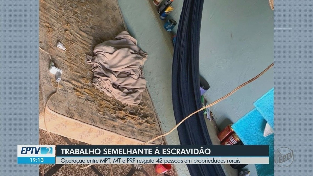 Operação resgata 42 trabalhadores em condições análogas à escravidão no ...