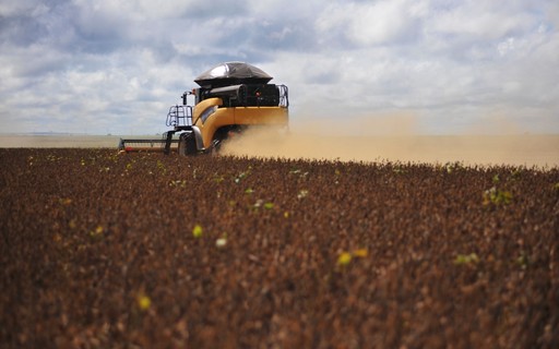 Indústria de soja afirma que 3% da expansão no Cerrado ocorreu em área ...
