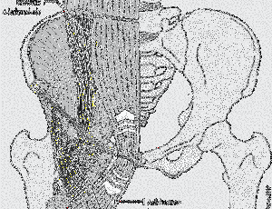 Pubalgia: incidência é maior no futebol e tênis, e pode comprometer ...