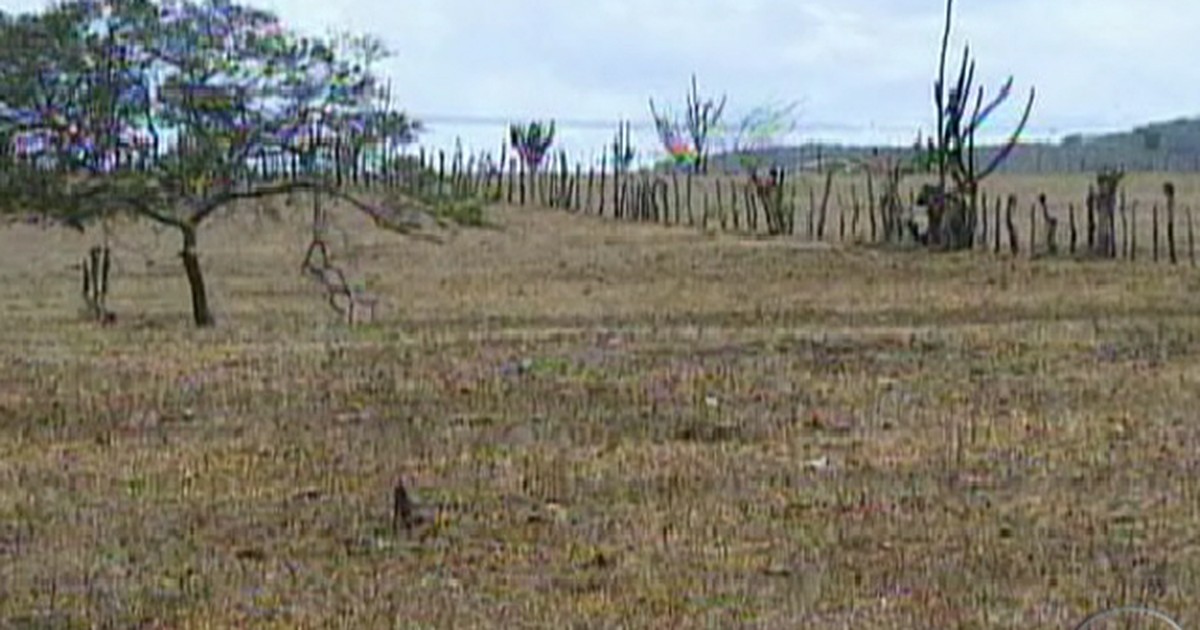 Jornal Hoje - Seca no Nordeste é considerada a pior dos últimos 30 anos