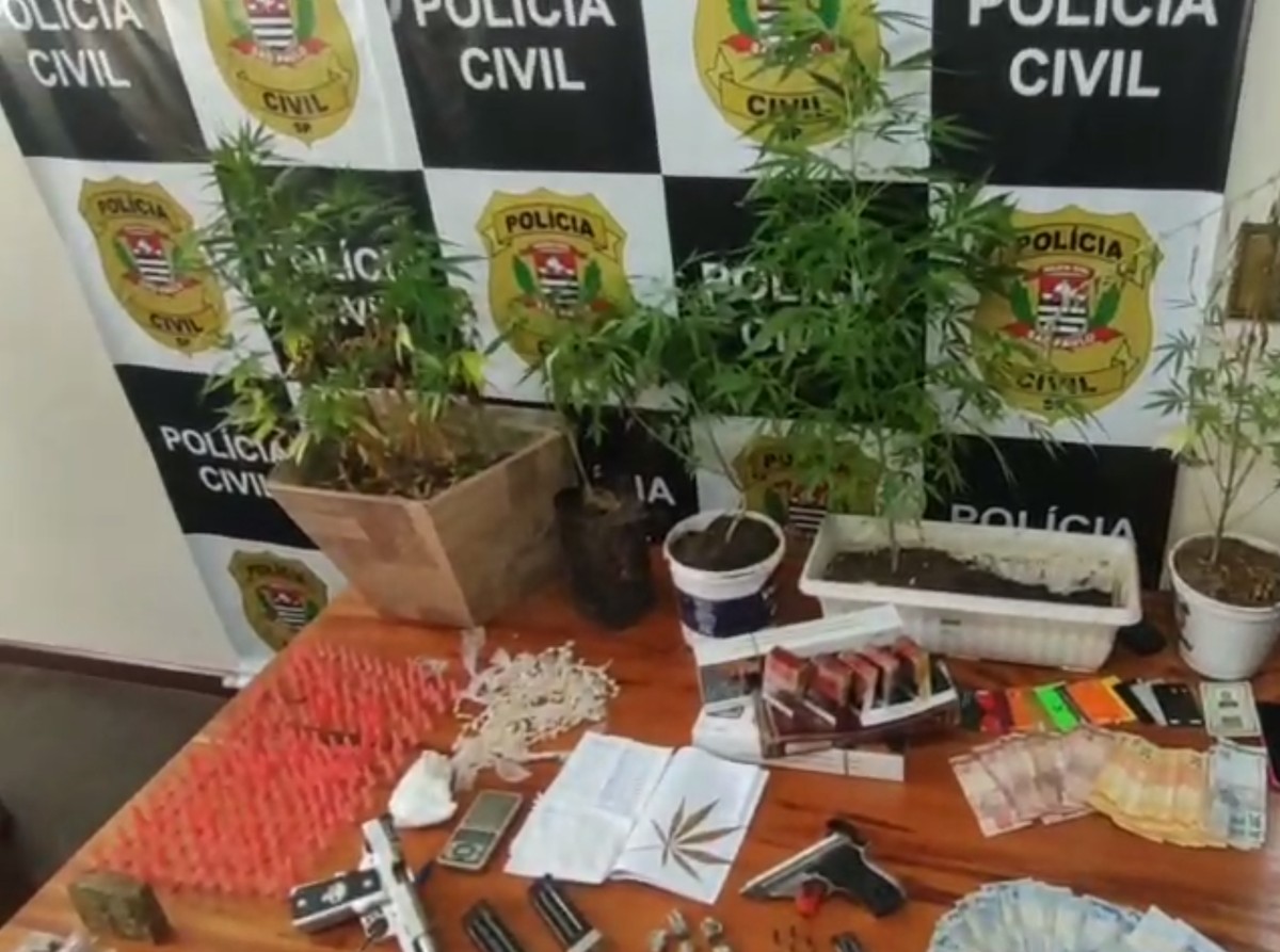 Polícia Civil Realiza Operação Contra O Tráfico De Drogas Em Ubatuba