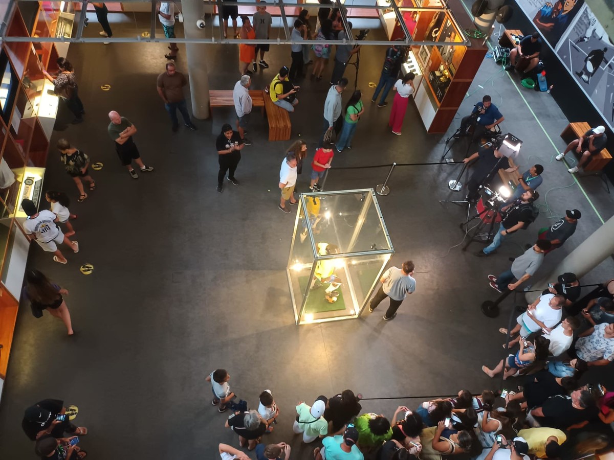 Museu Pelé: tudo sobre as exposições e homenagens ao Rei em Santos ...