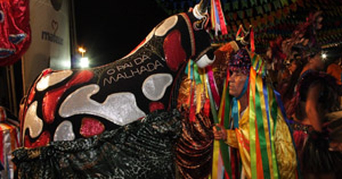 G1 - Bumba boi de matraca ribamarense inicia temporada de ensaios ...