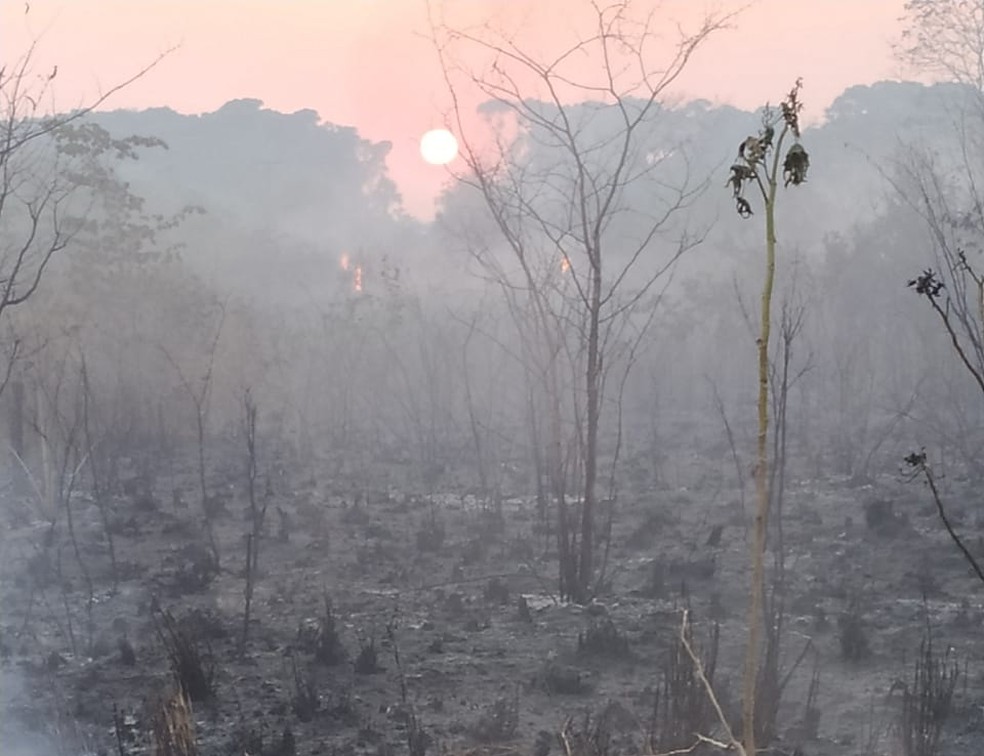 Brigadistas combatem incêndio há sete dias na região sul do estado ...