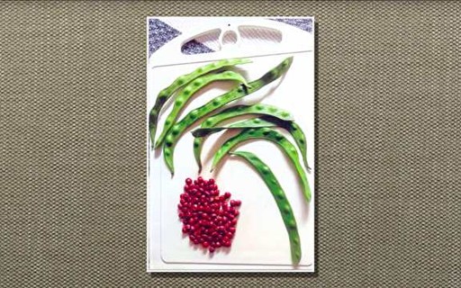 Como produzir mudas para cultivo da árvore tento-vermelho - Revista ...