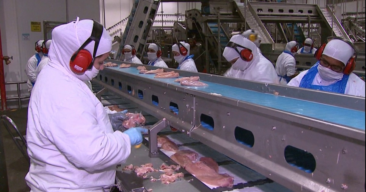 Agronegócios - Mercado externo ajuda a estimular a produção de frango ...